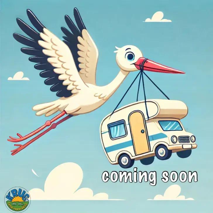 Sunlight Camper Van Cliff 540